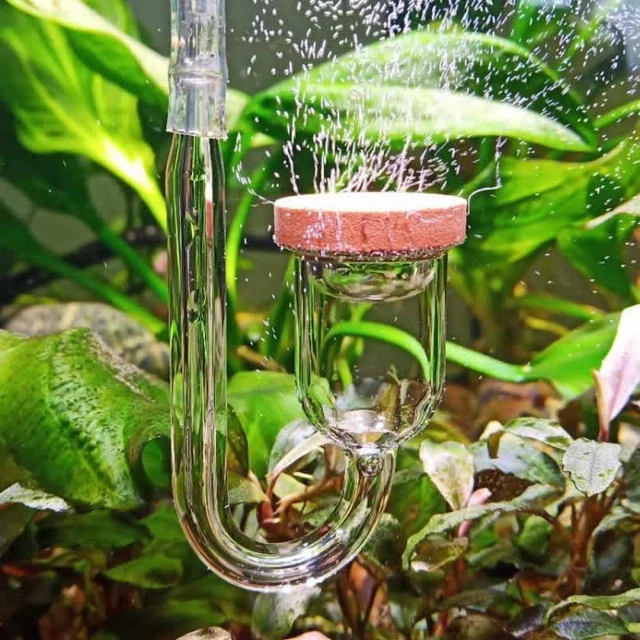 SUCTION CUP PREVENT Splash Oxygen Pump Bubble Counter Stone Aerator Air ...
