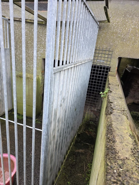 STEEL DOG RUN Panels Galvanized Kennel Enclosure £363.70 - PicClick UK