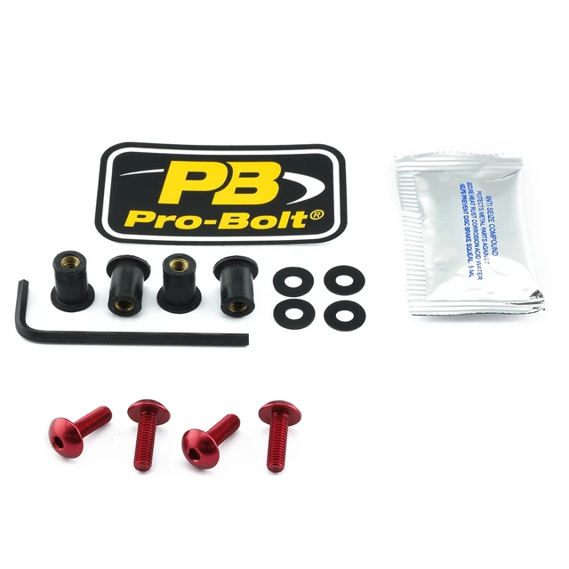 PRO BOLT SK4R Scr Kit Screen 4 Rd Bmw K 1300 R 2010 EUR 19,63 - PicClick IT