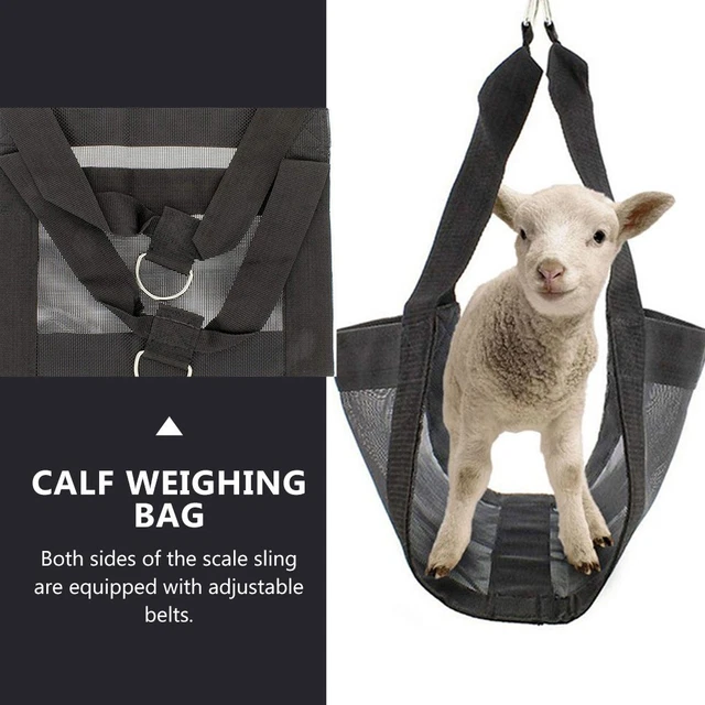 SMALL ANIMAL WEIGHING Sling Lamb Scales Calf for Lifting Hanging Weight ...
