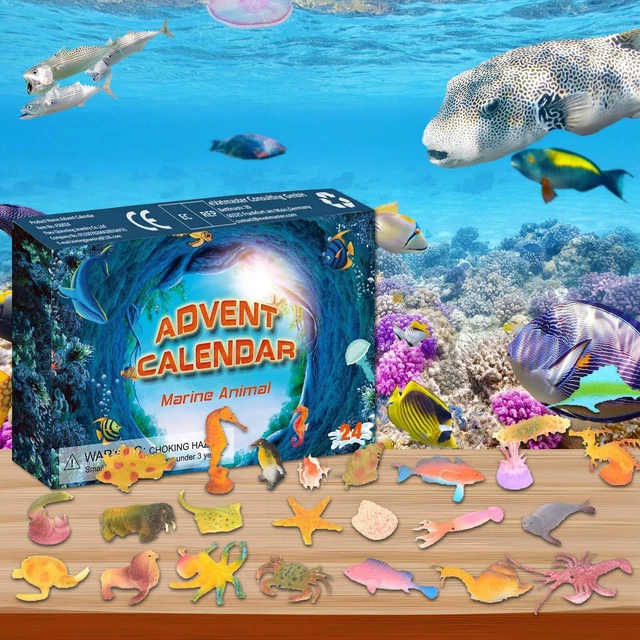CHRISTMAS COUNTDOWN CALENDAR Ocean Countdown Calendar With 24 Pieces ...