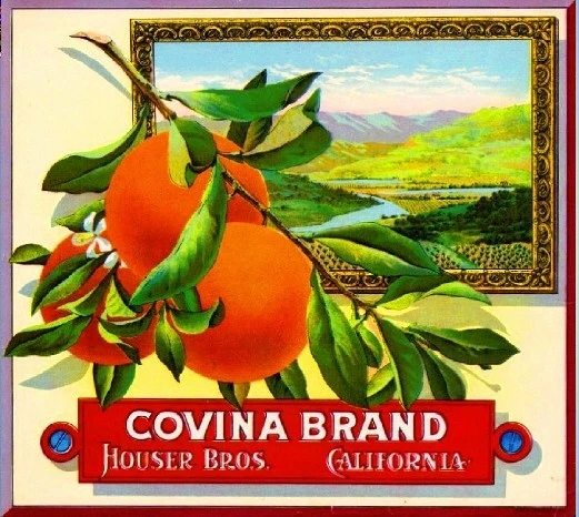 COVINA LOS ANGELES California Daisy Orange Citrus Fruit Crate Label Art ...