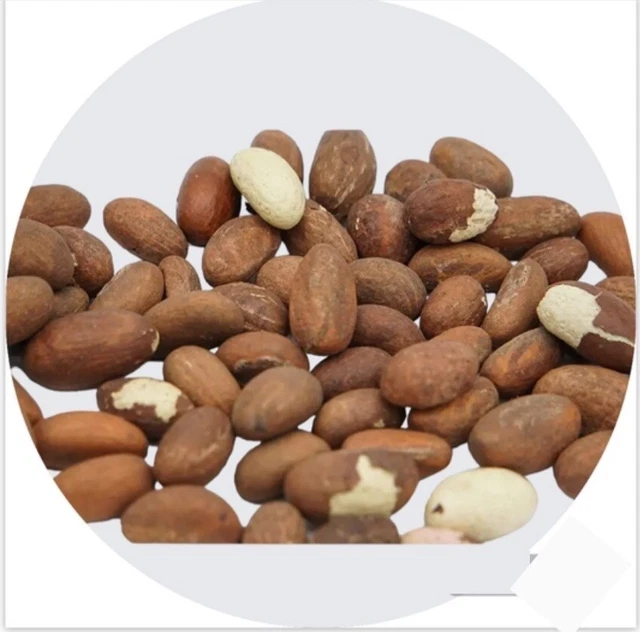 NOIX DE PETIT Cola - Bitta Cola X 10 Excellent À La Santé Livraison 24 ...