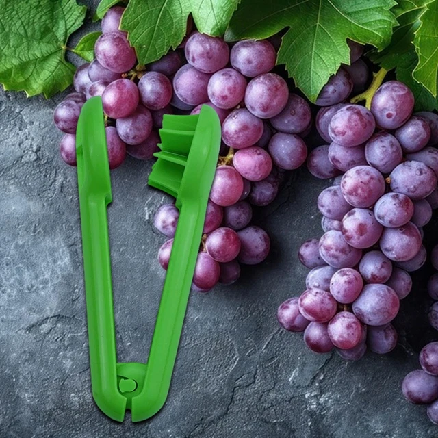 GRAPE QUARTER CUTTING Tool for Kids Lunch Accessories Baby £7.55 ...