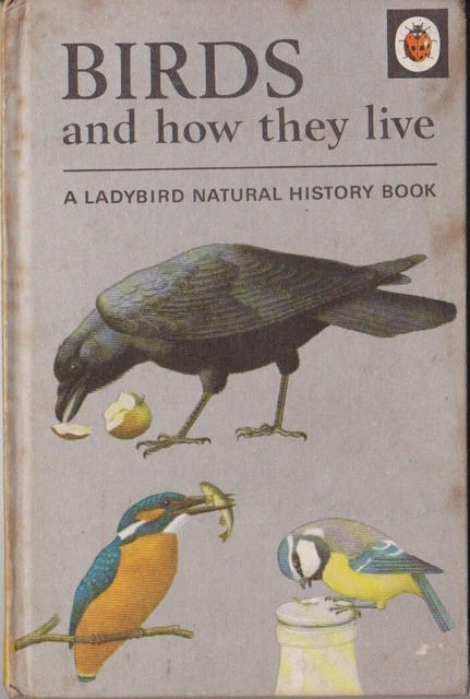LADYBIRD BOOK BIRDS AND HOW THEY LIVE 1966 Series 651 £3.99 - PicClick UK