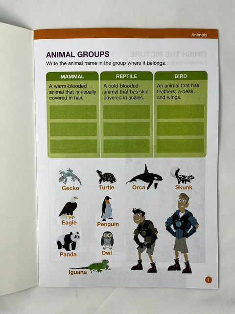 PBS KIDS WILD KRATTS 1st Grade Educational Workbook Learning Fun NEW ...