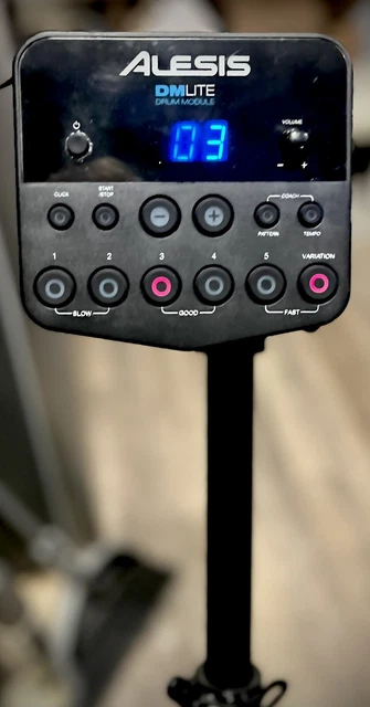 ALESIS DM LITE Electronic Drum Sound Trigger Module USB W PSU Mount ...