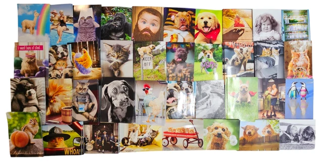 AVANTI GREETING CARDS, Birthday, Be Well, Congrats, Anniversary ...