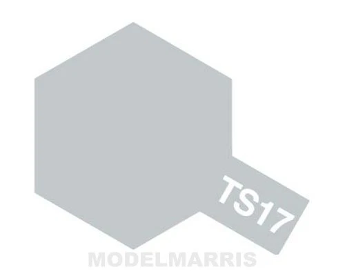 SPRAY GLOSS ALUMINIUM - TAMIYA - TS17 TAMIYA TS-17 EUR 9,79 - PicClick FR