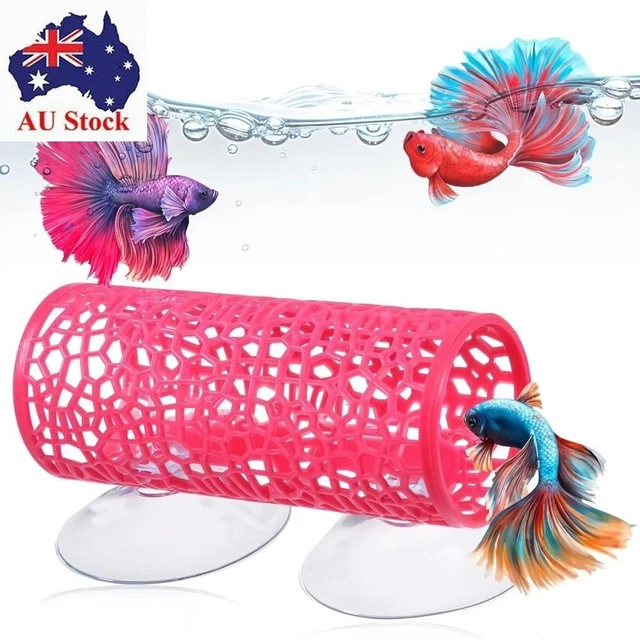 SMALL HOLE HOLLOW Fish Tank Tunnel Toys for Betta Guppies $13.59 ...