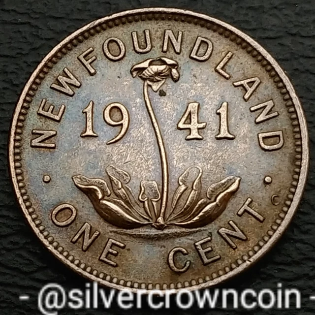 NEWFOUNDLAND 🇬🇧 1 Cent 1941 C. KM#18. One Penny coin. Pitcher Plant ...