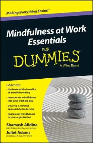 MINDFULNESS AT WORK Essentials For Dummies by Shamash Alidina EUR 16,75 ...