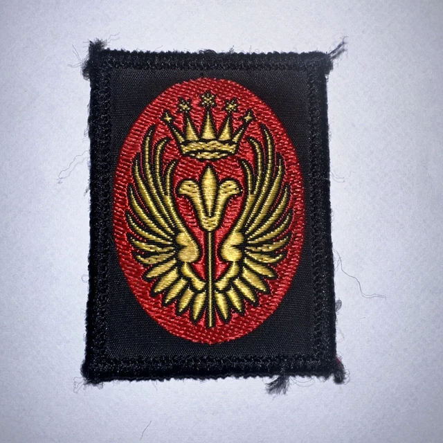 BOY SCOUT BADGES Extinct LeightonBuzzard Linslade & Wing District £1.49 ...