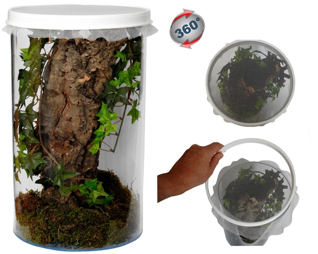 PRAYING MANTIS,STICK INSECT,ARBOREAL Vivarium.Cage,Tank,Enclosure 40CM ...