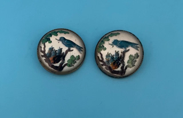 VINTAGE 1920S BLUE Bird Feeding Young Domed Glass Novelty Buttons Pair ...