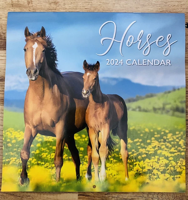 HORSES 2024 CALENDAR Square 30 X 30cm Horse New Calender £7.49 ...