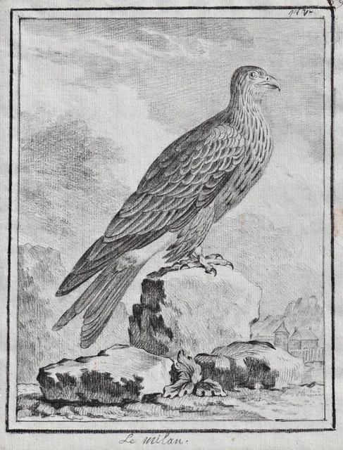 MILAN ROUGE RED Kite Dessin Oiseaux 1780 EUR 62,02 - PicClick FR