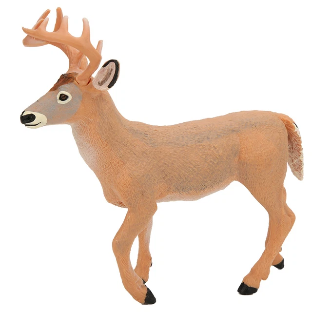 WHITE-TAILED DEER MODEL Simulation White-Tailed DeerModels Exquisite ...
