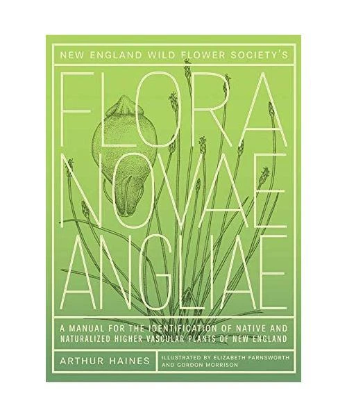 NEW ENGLAND WILDFLOWER Society′s Flora Novae Angliae - A Manual for the ...