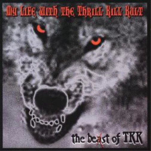 MY LIFE WITH the Thrill Kill Kult The Beast of Tkk (CD) Album EUR 16,46 - PicClick FR