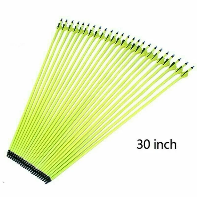 30” ARCHERY CARBON Arrows Plastic Vanes SP500 For Compound Bow Hunting ...