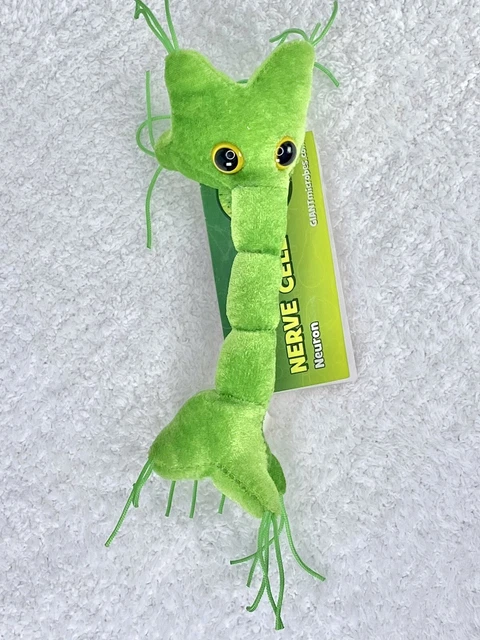 GREEN NERVE CELL Neuron By Giant Microbes, Scientific Soft Toy Plush ...