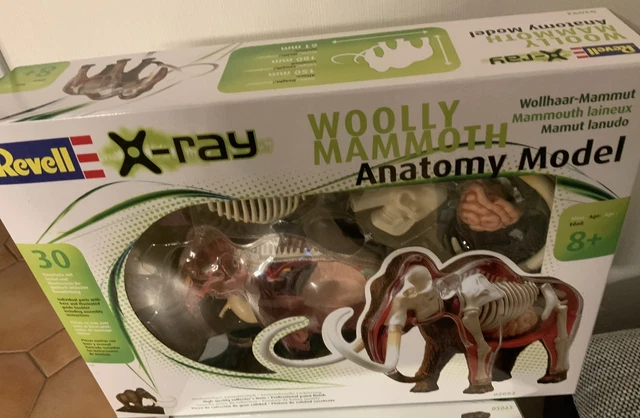 REVELL X-RAY Woolly Mammoth Anatomy Model Neu EUR 30,00 - PicClick DE
