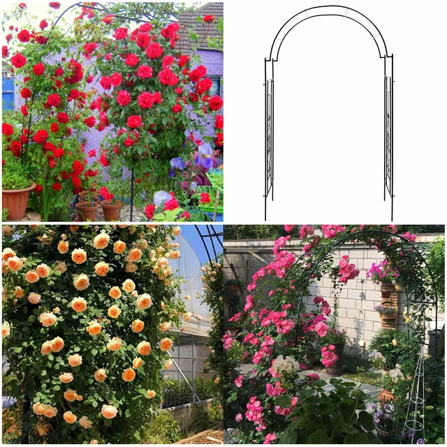 ARC DE ROSE en métal porte de jardin aide au rang colonne de rose ...