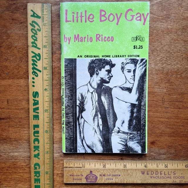 LITTLE BOY GAY Vintage 1968 Gay Pulp Fiction Paperback Sleaze 101 ...