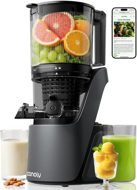 COLD PRESS JUICER Machines,150Mm Wide Chute 3-IN-1 Strainers for Juice ...