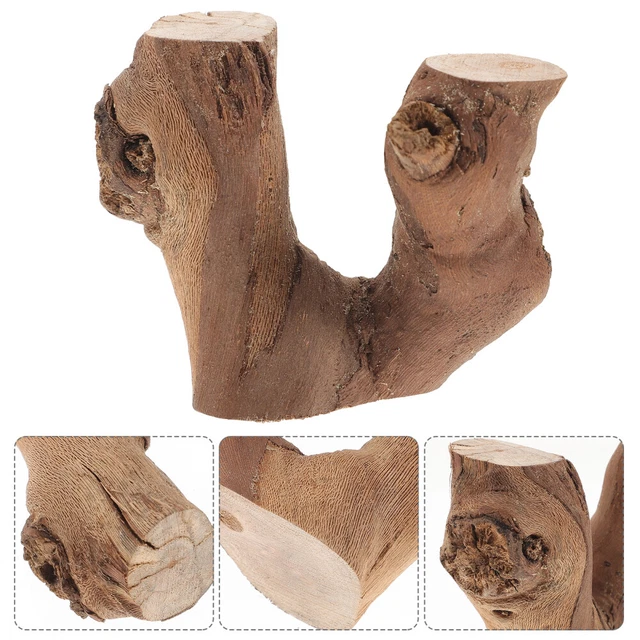 DIY FISH TANK Branches Branch Decor Reptiles Trunk Driftwood £11.75 ...