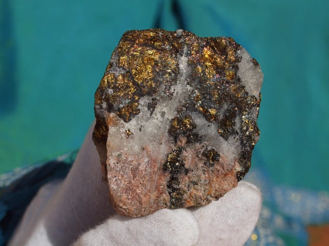 LARGE HIGH GRADE Gold Ore Mineral Specimen in Quartz from Central ...