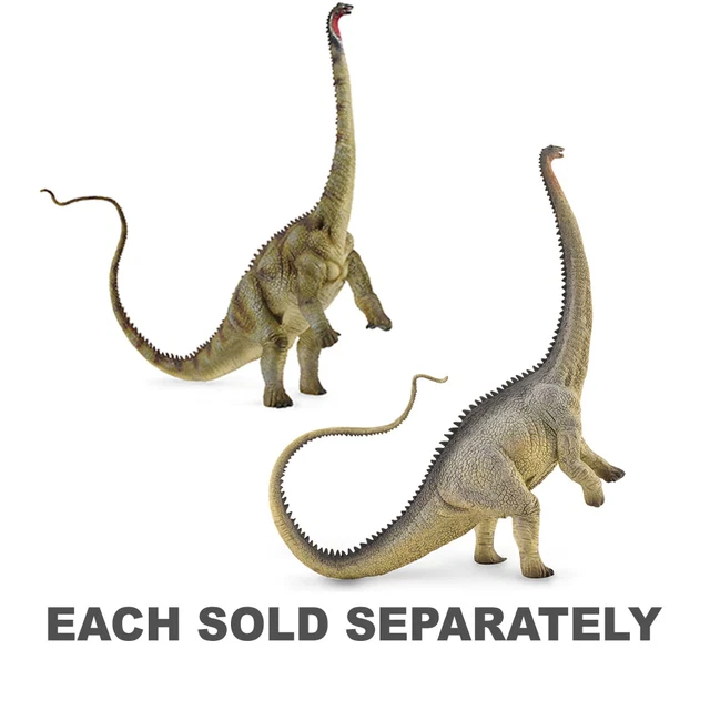 COLLECTA REALISTIC ANIMAL Replica Diplodocus Dinosaur Figure Extra ...