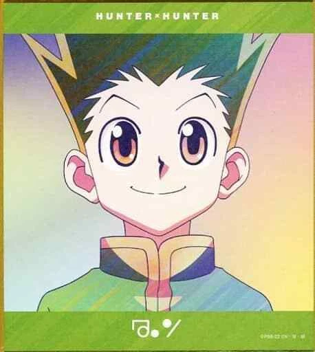 HUNTER BELLE GON Freecss Shikishi Carte Pretty Jouet Collection Limitée ...