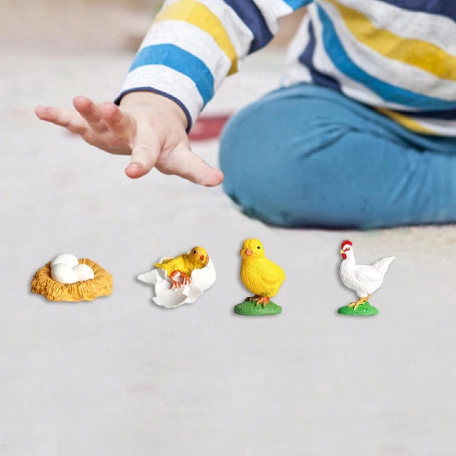 LIFE CYCLE OF Chicken Toys Puzzle for Age 3 to 6 Animal Growth Cycle ... LIFE CYCLE OF Chicken Toys Puzzle for Age 3 to 6 Animal Growth Cycle ...
