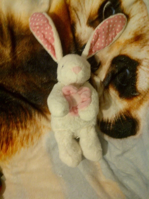 SPORTSWIFT &BILLIE& THE Bunny Rabbit With Flower Supersoft Comforter ...