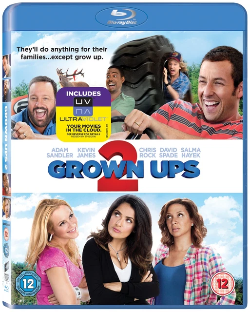 GROWN UPS 2 (Blu-ray) Nick Swardson Steve Buscemi Colin Quinn Steve ...