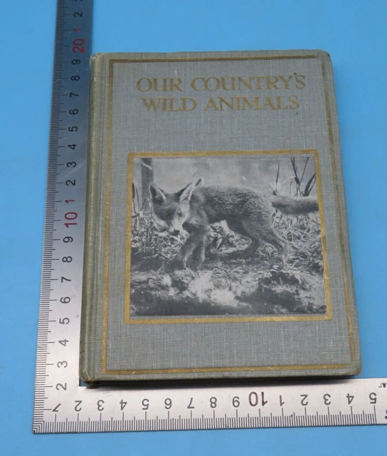 OUR COUNTRY'S WILD Animals H. Mortimer Batten Hb £5.50 - PicClick UK