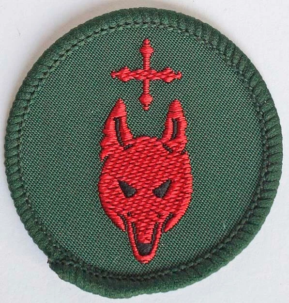 IRISH CUB SCOUT Cap Badge Scouting Catholic Boy Scouts of Ireland CBSI ...