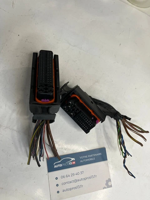 CONNECTEUR FICHE FAISCEAUX Câblage Pluge De Ecu Calculateur Moteur Seat ...