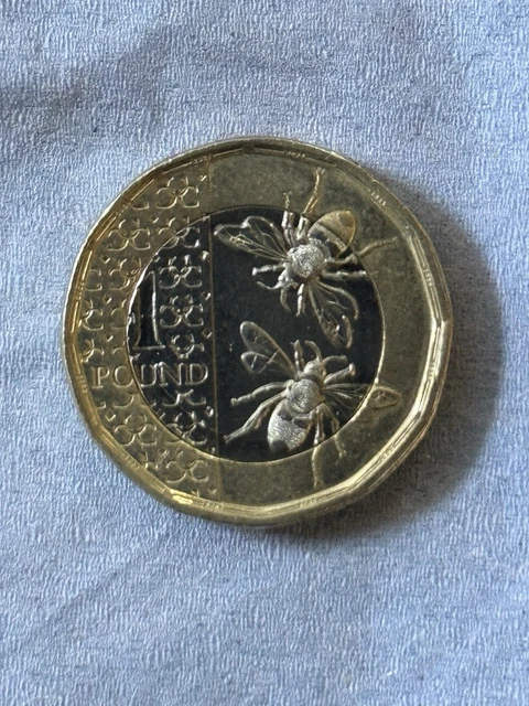 KING CHARLES BEES 2025 £1 One Pound Coin Rare £5,586.70 - PicClick UK