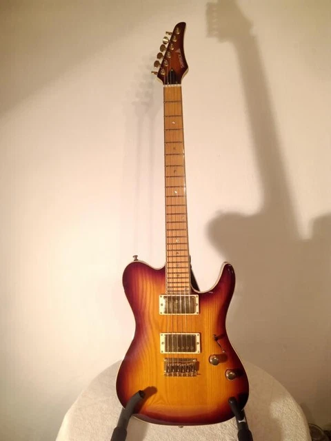 E-GITARRE SAMICK SMX-2R EUR 420,00 - PicClick DE