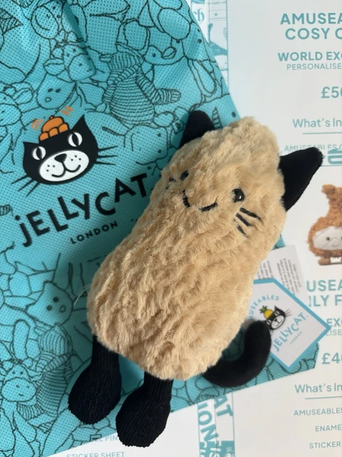 JELLYCAT AMUSEABLES PEANUT Cat Outfit Exclusive 2025 new with tags £57. ...