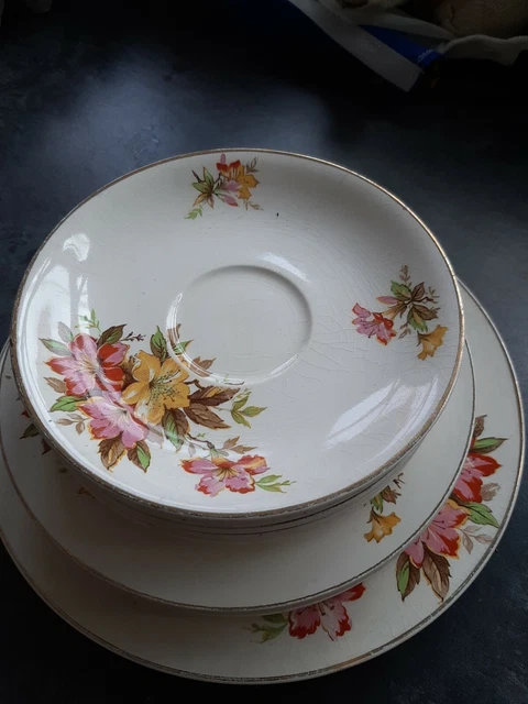 VINTAGE OLD J & G Meakin SUNSHINE Reg'd SOL 391413 Flowers Plates ...
