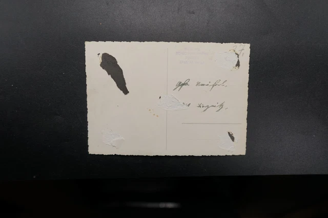 FOTO PORTRAIT INFANTERIE Reg 51 Liegnitz Polen Leutnant Pferd ...