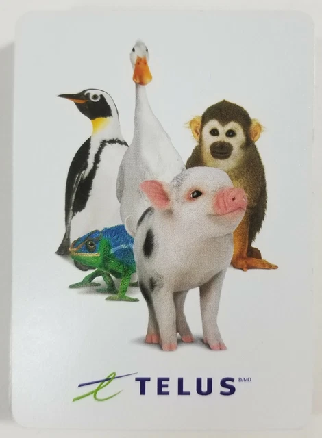 VINTAGE PLAYING CARD Deck Telus Critters Images Pig Monkey Penguin Duck ...
