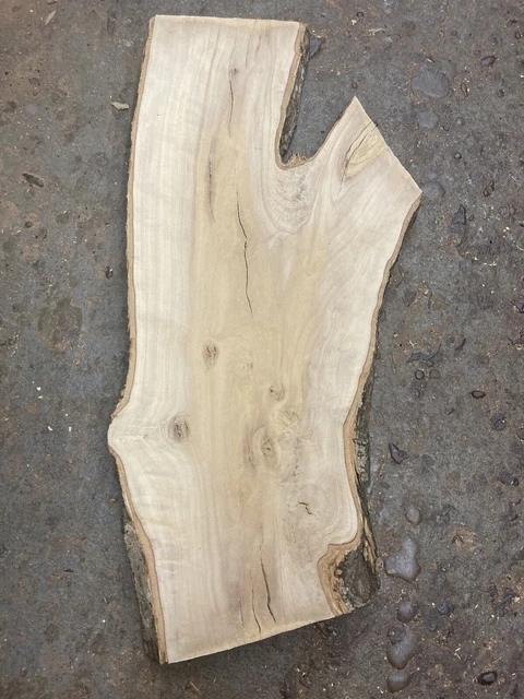 OLIVE TREE TIMBER Slab For Handle Blocks Blanks Carving Knife Handle ...