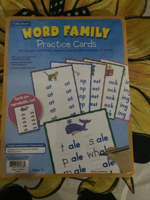 WORD FAMILY PRACTICE Cards 40 reusable cards help students read and ...