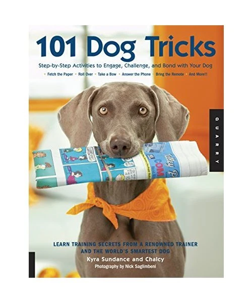 101 DOG TRICKS: Step by Step Activities to Engage, Challenge, and Bond ...