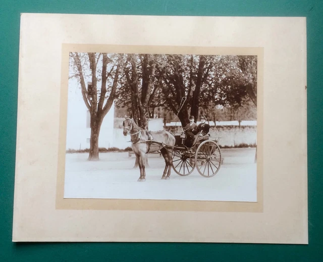 GRANDE PHOTO ANCIENNE ALBUMINE Couple avec chien caniche Attelage cheval Fiacre EUR 34,00 ...
